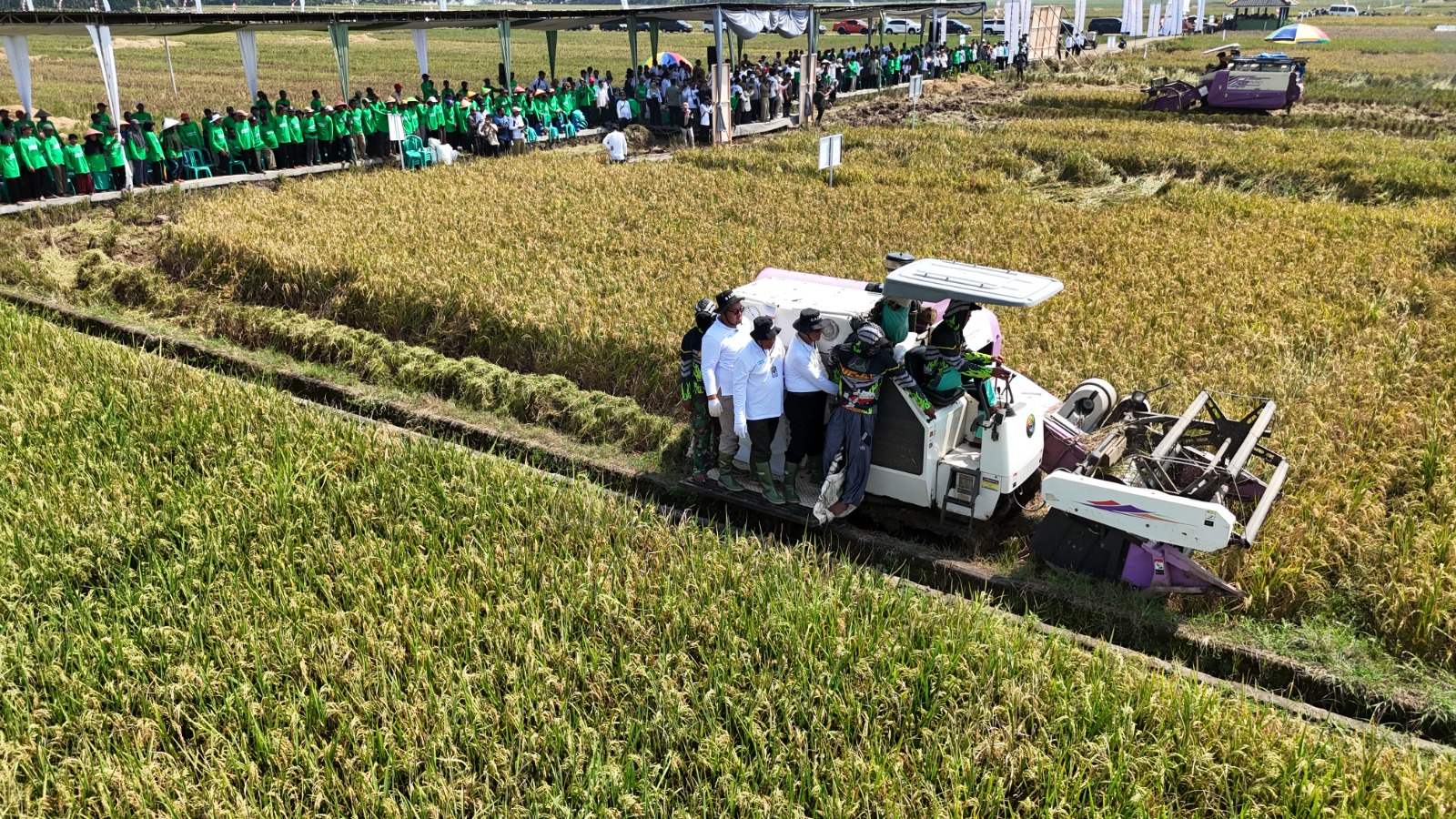 Panen Raya Lumbung Pangan Baznas: Kolaborasi untuk Ketahanan Pangan dan Kesejahteraan Petani ...